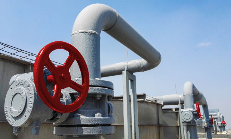 About Us – Focus Energies Limited